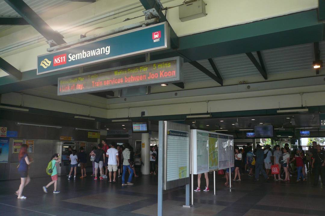 Dive Into Success: Swimming Lessons In Sembawang